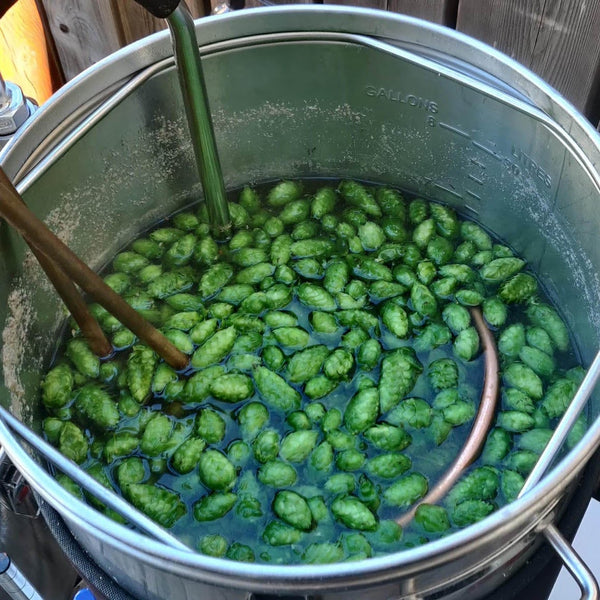 Homebrew Experiment: Thiol Libre vs. Base Malts & Hops – Escarpment Labs