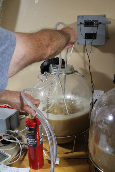 Homebrew Experiment: Shaking vs. Pure O2 in a Hazy IPA – Escarpment Labs